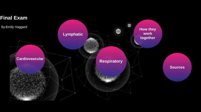 human anatomy final exam by emily haggard on Prezi