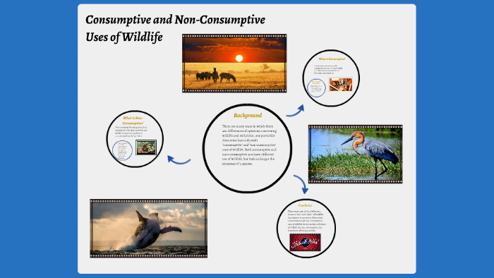 Consumptive and Non-Consumptive Uses of Wildlife by Joshue Bernal on Prezi