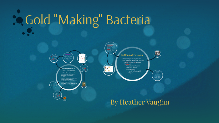 Gold Making Bacteria by on Prezi