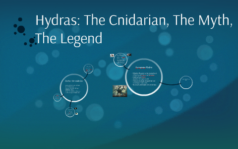 Hydras: The Cnidarian, The Myth, The Legend by John Skaggs on Prezi