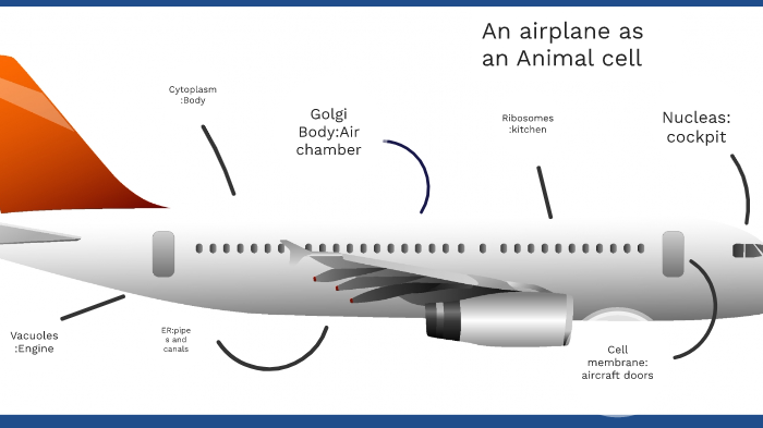 Airplane as an animal cell by Mohamed Mohamed on Prezi