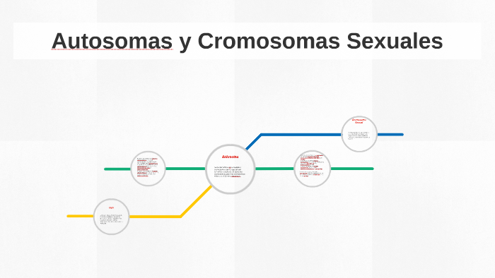 Autosomas y Cromosomas Sexuales by on Prezi