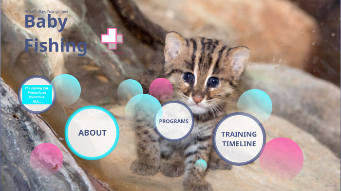 ALANA MITCHELL-GARNER by Emily Ricciardi on Prezi