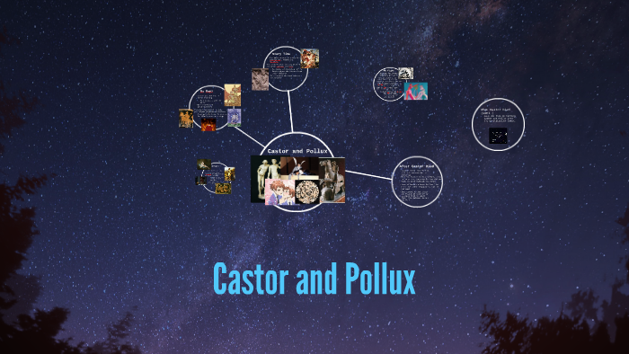 Castor was the son of Tyndareus, a king or Sparta by Madelyn Chatman on ...