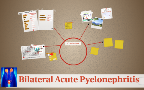 Bilateral Acute Pyelonephritis by Akira Yui on Prezi