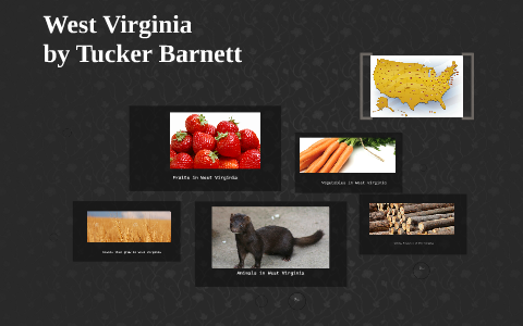 West Verginia by on Prezi