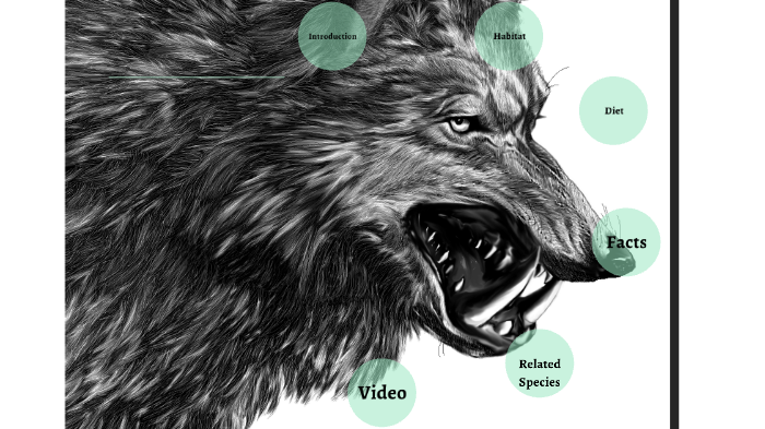 Jacqueline Navar/animal project by Loma Linda on Prezi