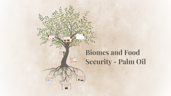 Biomes and Food Security - Palm Oil by LINH LINH on Prezi