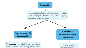 Mapa mental - Percepción by yuliana hoyos on Prezi Design