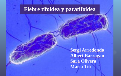 Fiebre tifoidea y paratifoidea by Maria Tió on Prezi