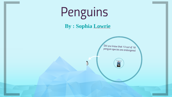 All About Endangered Penguins by Jennifer Slowinski on Prezi