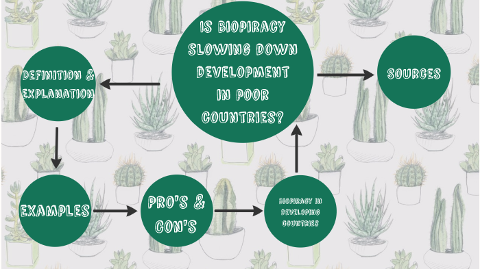 Biopiracy by Lara Khoshnau on Prezi