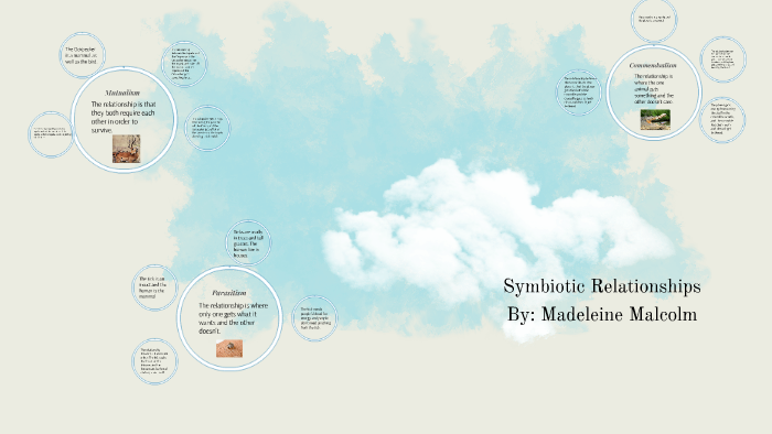 Symbiotic Relationships by Madeline Malcolm on Prezi