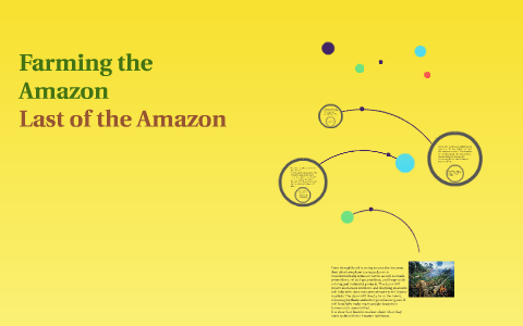 Farming the Amazon by Rachel Ogun on Prezi