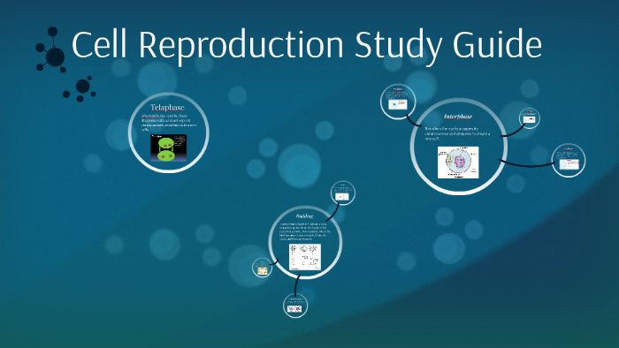 Cell Reproduction Study Guide by veronica martins on Prezi