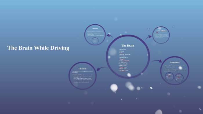 The Brain While Driving by Mama Aye-Addo on Prezi