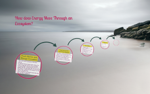 How does Energy Move Through an Ecosystem? by Korrie Davis on Prezi