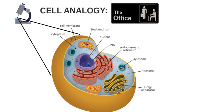 CELL ANALOGY: THE OFFICE by Yami Urias on Prezi