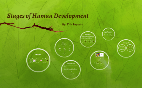 Stages of Human Development by Erin Layman on Prezi