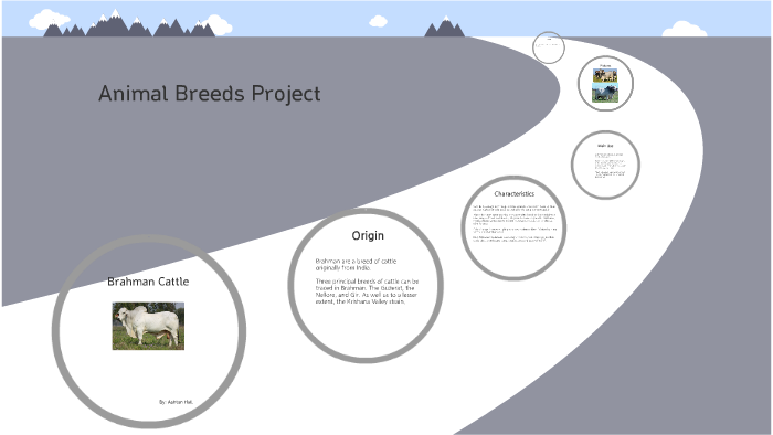 Animal Breeds Project by Ashton Hall