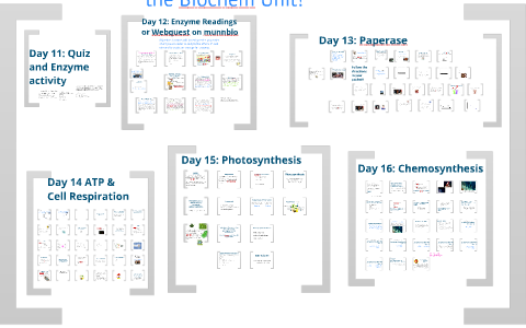 Biology - Biochem Part 2 - Mrs. Munn by Michelle Munn on Prezi