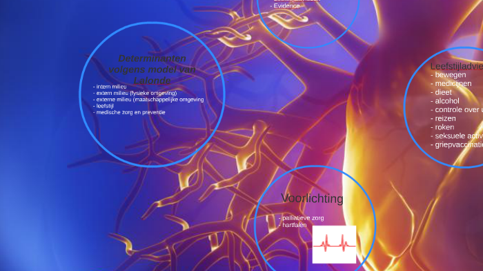 Determinanten volgens model van Lalonde by Christel Nieuwenhuis on Prezi