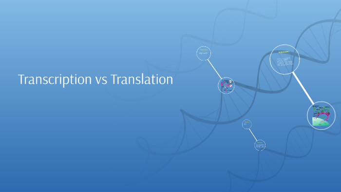 Transcription vs Translation by Halla Haobsh on Prezi