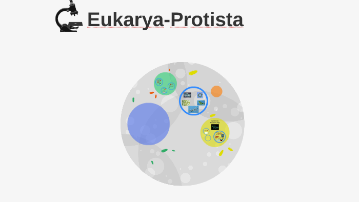 Eukarya-Protista by Mariano Tejeda on Prezi
