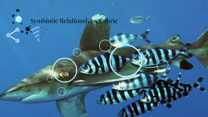 Symbiotic Relationships Rubic by Courtney Graves on Prezi