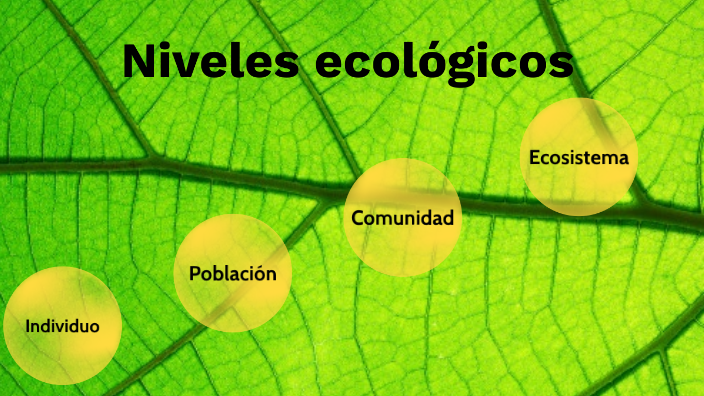 Niveles ecológicos by Erika Londoño on Prezi