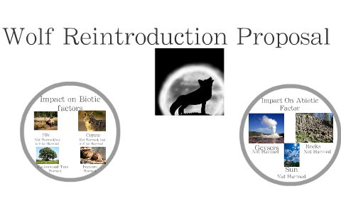 Wolf Reintroduction Proposal by cayla hoang on Prezi