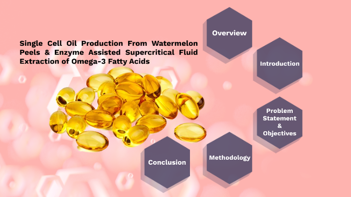 Single Cell Oil Production From Watermelon Peels & Enzyme Assisted ...