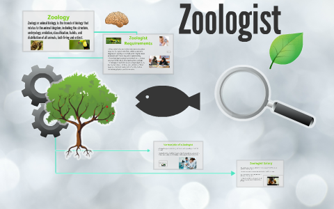 Zoologist Presentation by Dierra Davis on Prezi