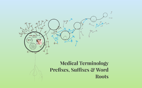 Medical Terminology Prefixes, Suffixes & Word Roots by Bianca Contreras ...