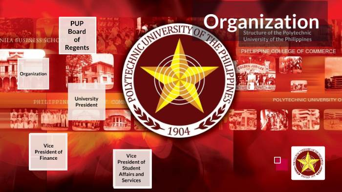 PUP Organization Chart by sandara park on Prezi