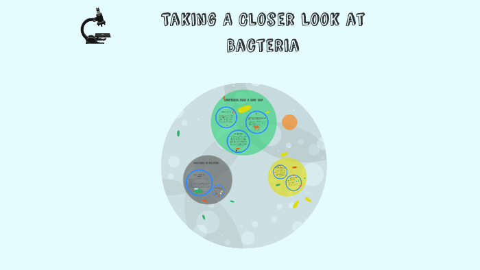 Taking A Closer Look on Bacteria by Jessica Barenbaum on Prezi