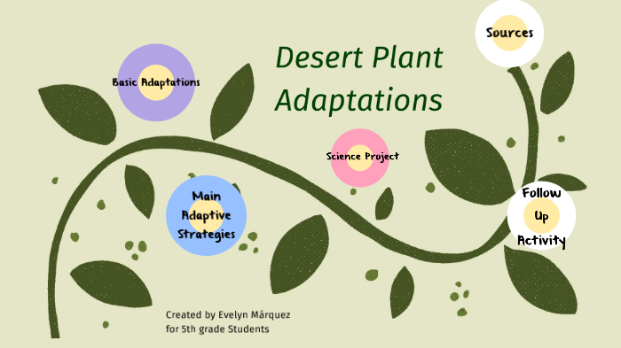 Desert Plant Adaptations by EVELYN ACEVES on Prezi