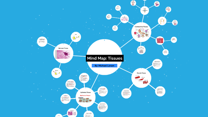 Mind Map: Tissues by Michael Larsen on Prezi