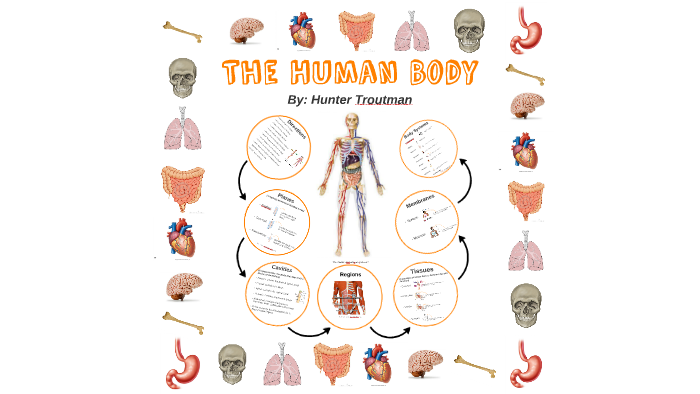 The Human Body by Hunter Troutman on Prezi