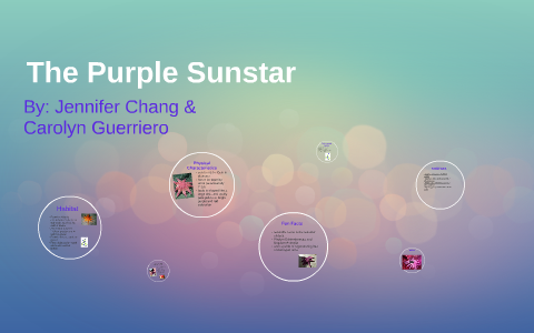 The Purple sunstar by carolyn guerriero on Prezi