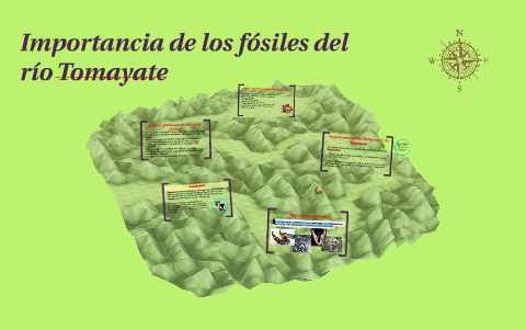 Importancia de los fósiles del río Tomayate by fabiola quintanilla on Prezi