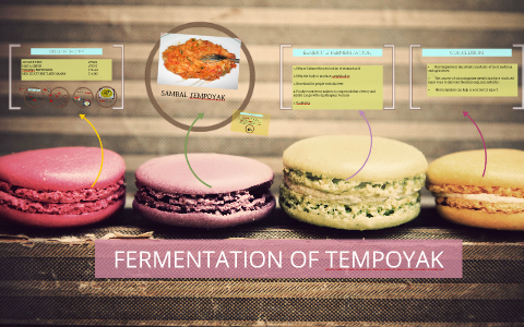 FERMENTATION OF TAPAI by Harlina Haris on Prezi