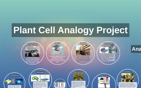 Plant Cell Analogy Project by Will Alban on Prezi