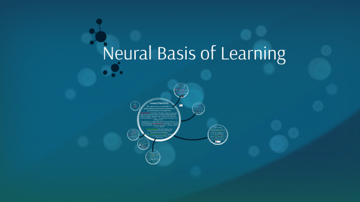 Neural Basis of Learning by Jemma Sbeghen on Prezi