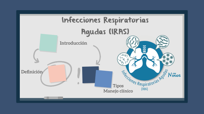 IRAS by Nicolle Ormeño on Prezi