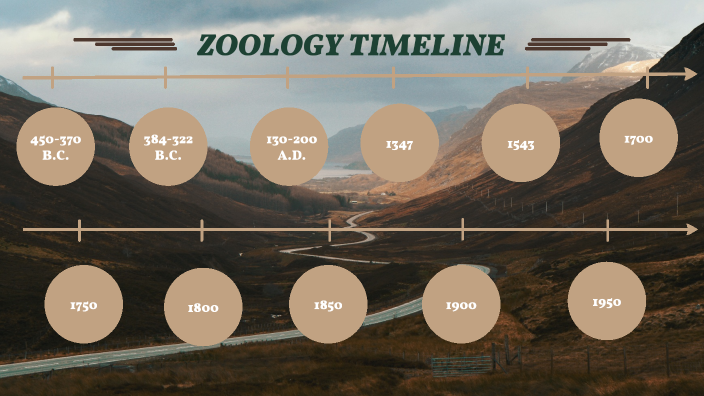 Zoology Timeline by Rhea Mae Dulfo on Prezi