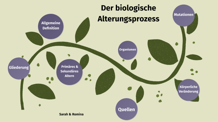 Der biologische Alterungsprozess by Sarah Hudjik on Prezi