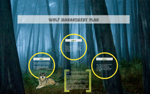 Wolf Management Plan by Jessica Yock on Prezi