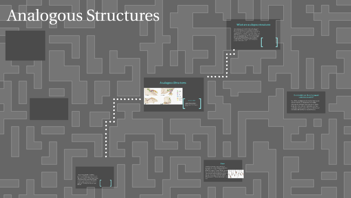 Analogous Structures by Trey Smoot on Prezi