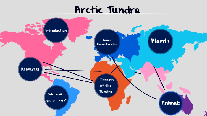 Arctic Tundra Biome by Chelsey Massey on Prezi